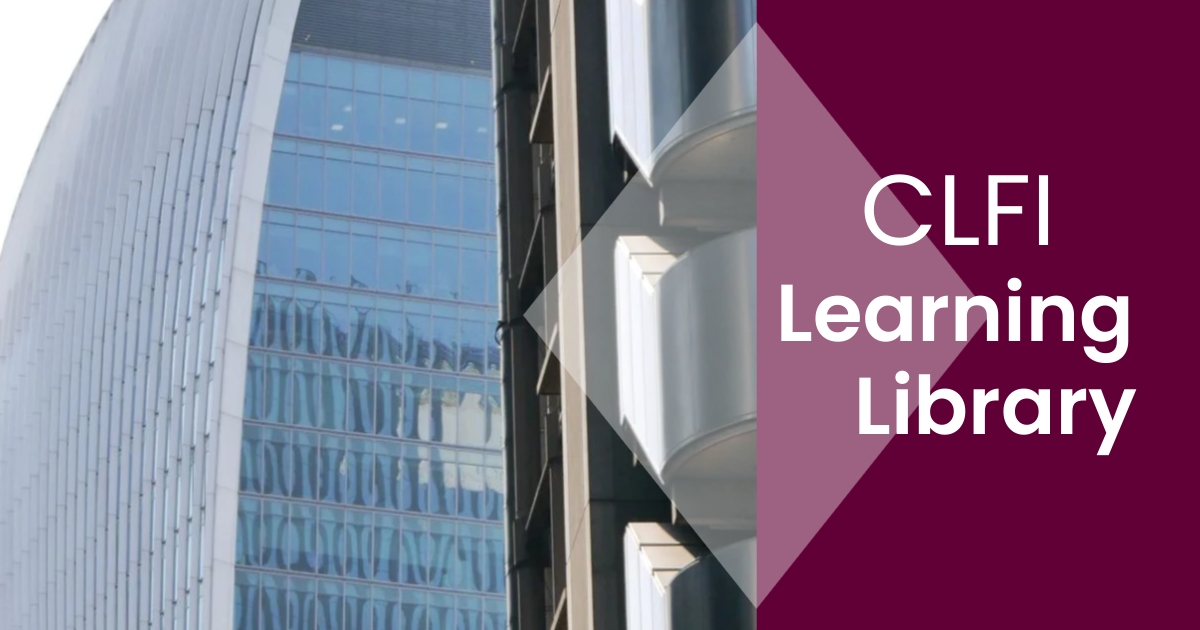 Other Matter Paragraph: What It Is and When It Appears | CLFI